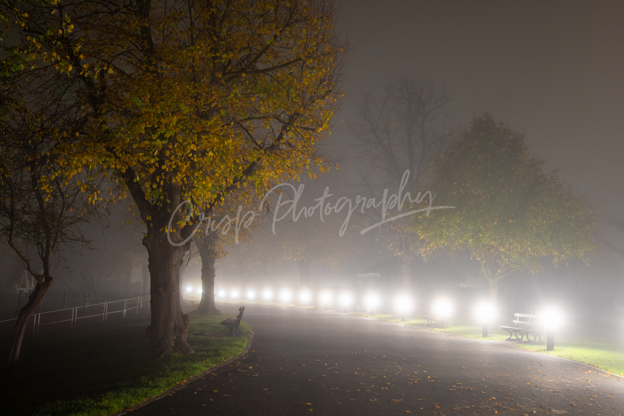 Autumn colours in the Fog, Maldon Prom Park - Crisp Photography